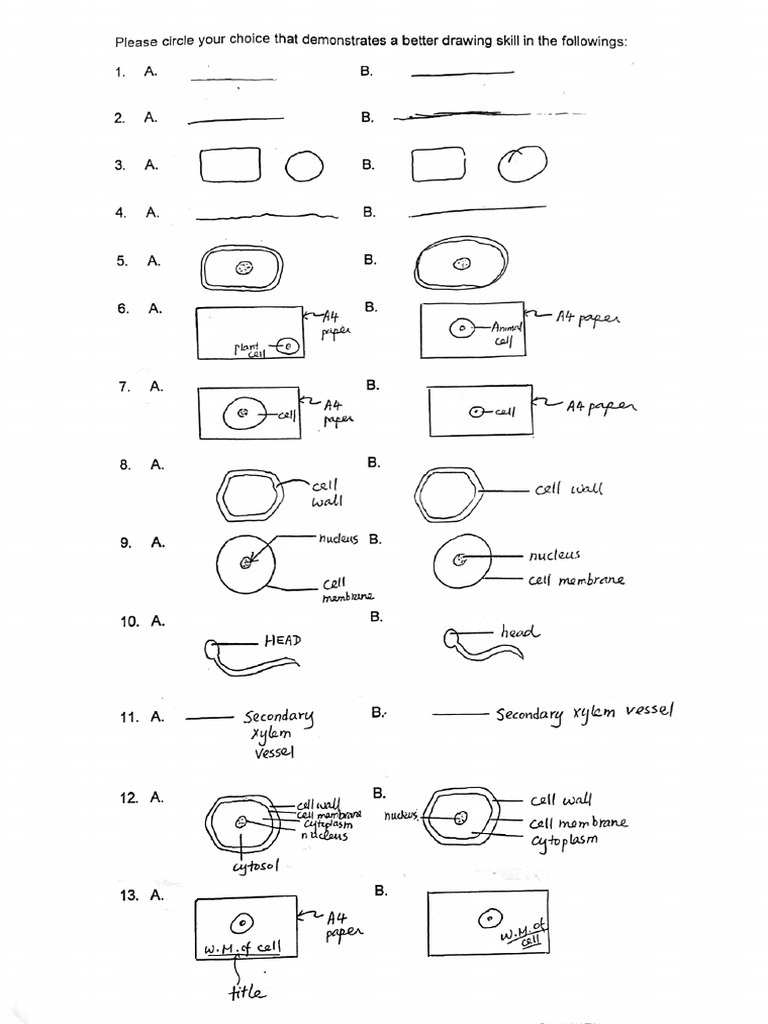 Biological Drawings | PDF
