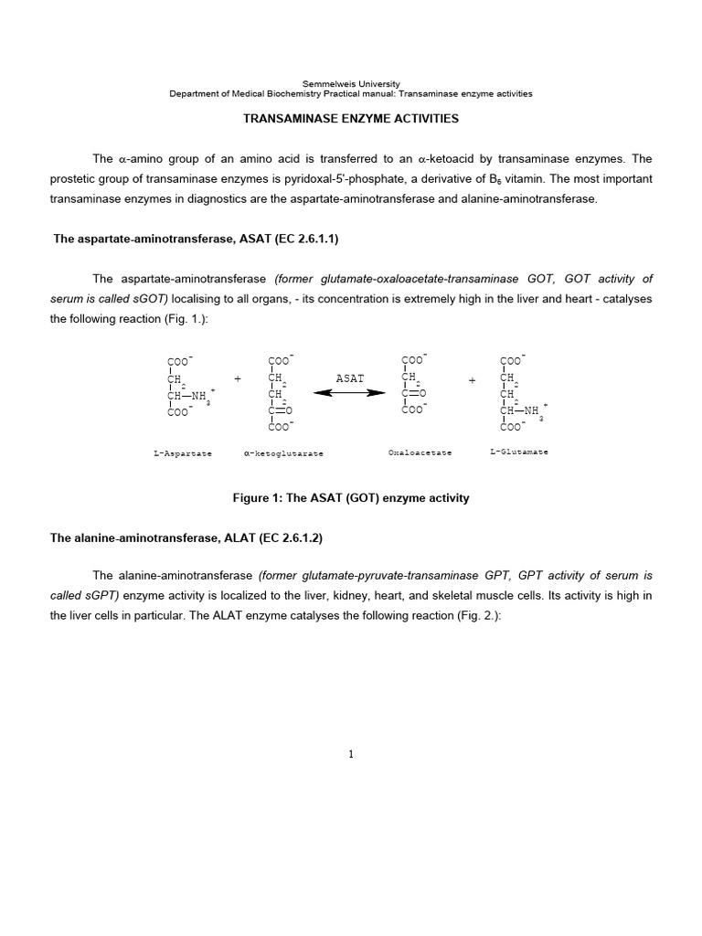 Transaminase Activity Assay Manual | PDF | Alanine Transaminase ...
