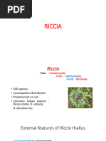 Riccia: Morphology and Life Cycle | PDF | Sexual Reproduction ...