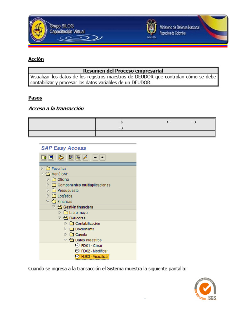 Visualización de Deudores en SAP FD03 | PDF | Informática