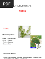 Chara | PDF | Algae | Biology
