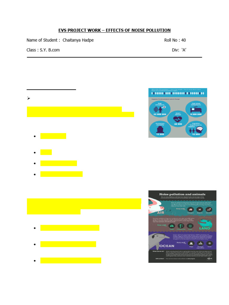 CHAITANYA HADPE - EVS Assignment NOISE POLLUTION | PDF | Noise | Pollution