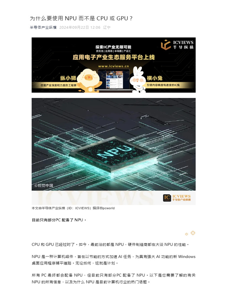 为什么要使用 NPU 而不是 CPU 或 GPU？ | PDF