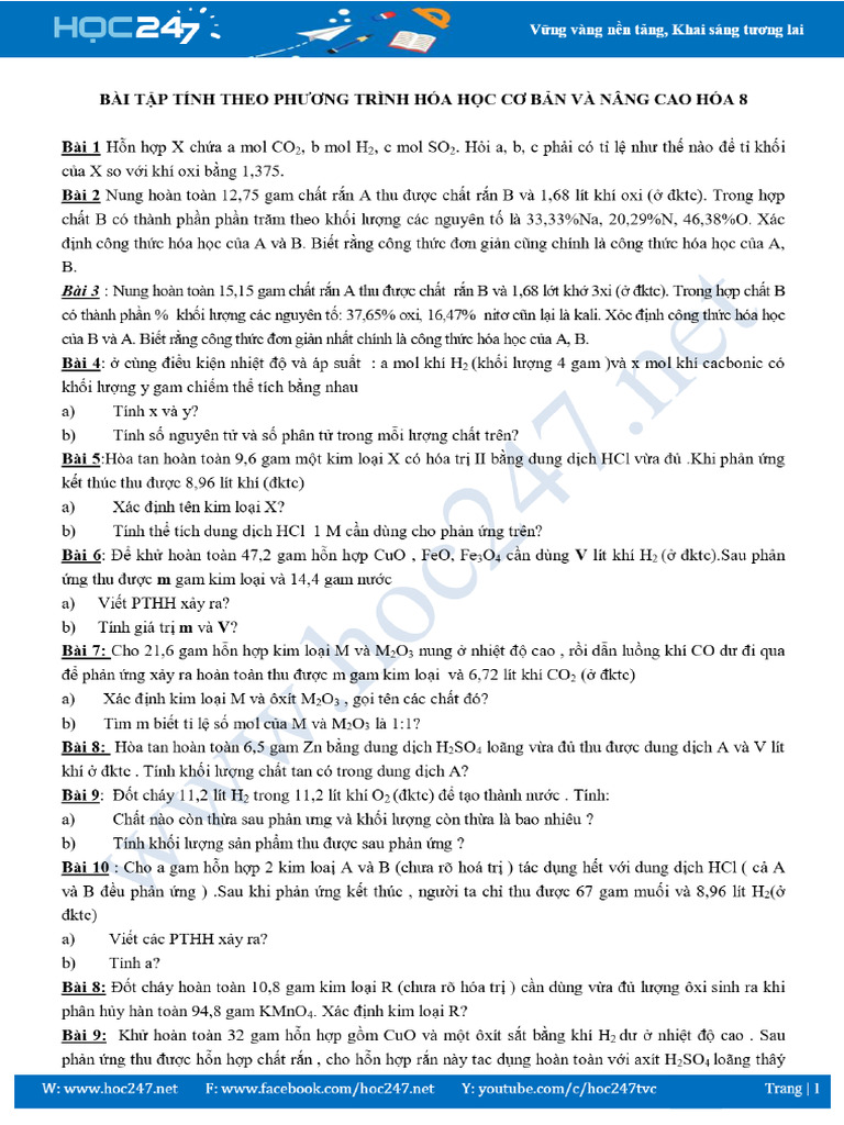 Giai Theo PTHH | PDF