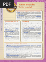 05 Tejidos Epiteliales III Especializaciones Del Dominio Basolateral ...