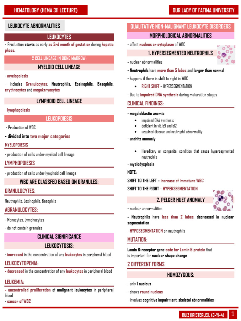 Leukocyte Disorders And Abnormalities Pdf White Blood Cell