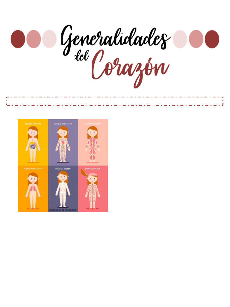 Generalidades Del Corazón | PDF | Corazón | Sistema circulatorio