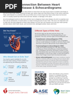 Echocardiography Report Template | PDF
