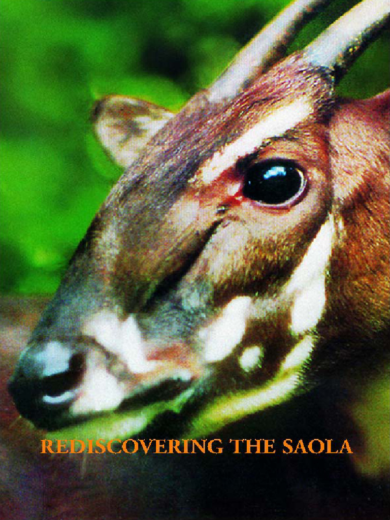 Rediscovering The Saola | PDF | Conservation Biology | Biodiversity