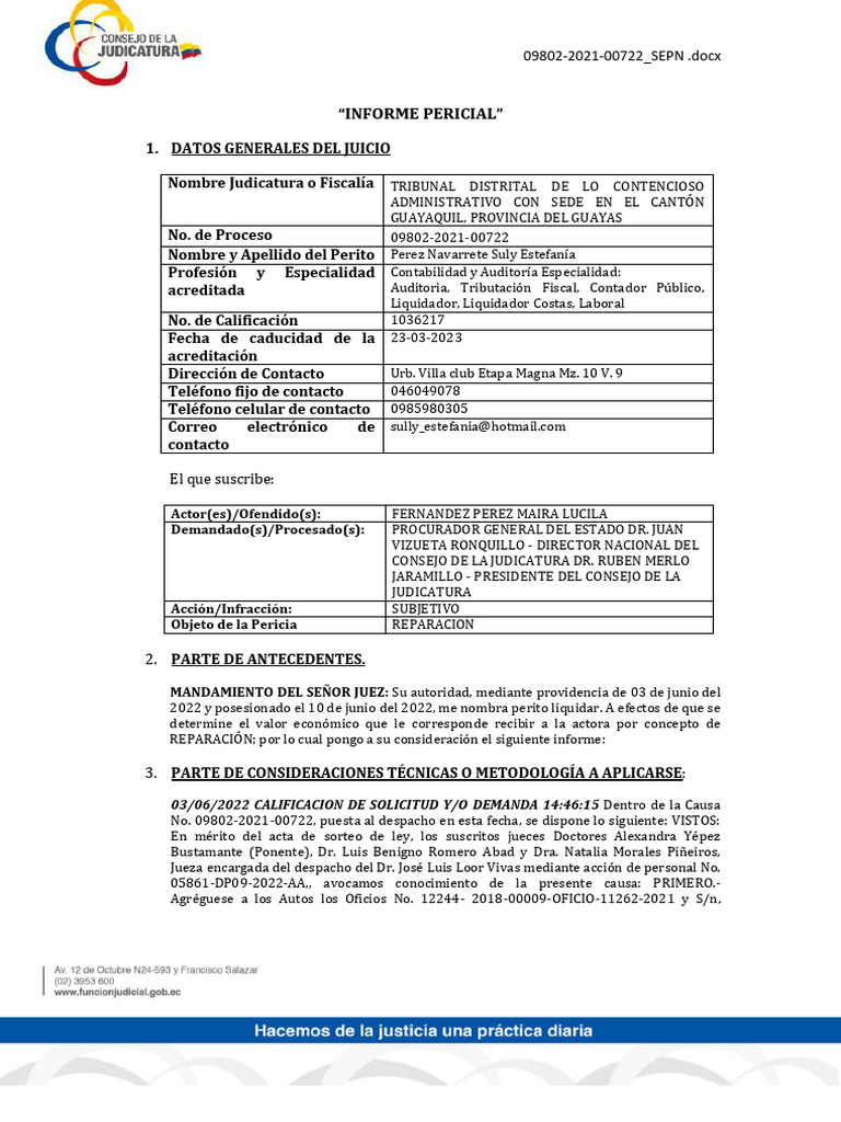 00722-2022 Informe de Imdenizacion de Abg Fernande Z | PDF | Judicaturas | Juez
