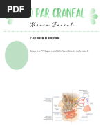Anatomía del Ganglio Geniculado | PDF | Anatomia animal | Cabeza y ...