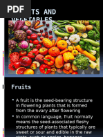 Fruit and Vegetable Nutrition Tier List | PDF | Vegetables | Vitamin