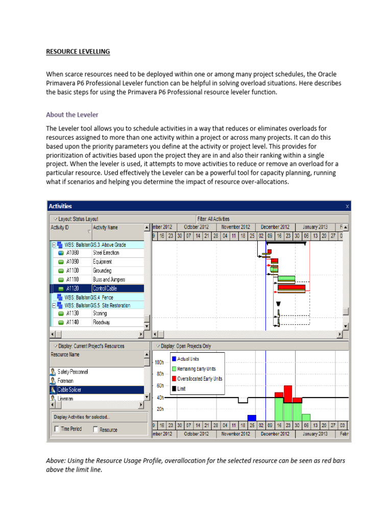 Resource Levelling Pdf Computer Programming