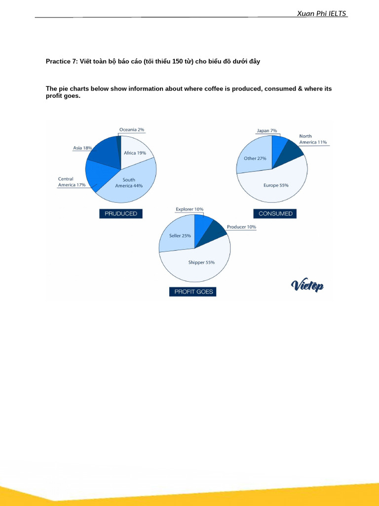 Pie Chart Full Report | PDF