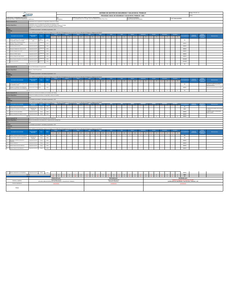 Programa de Seguridad y Salud en El Trabajo 2025-VISAP | PDF