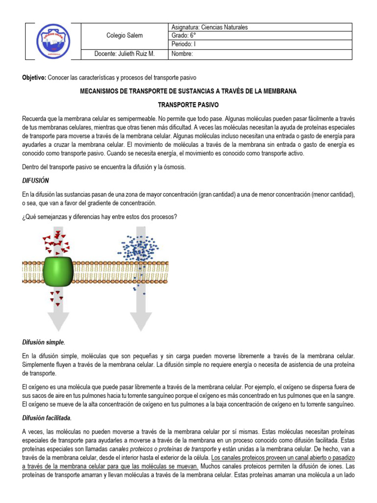 Características del Transporte Pasivo | PDF | Membrana celular | Difusión