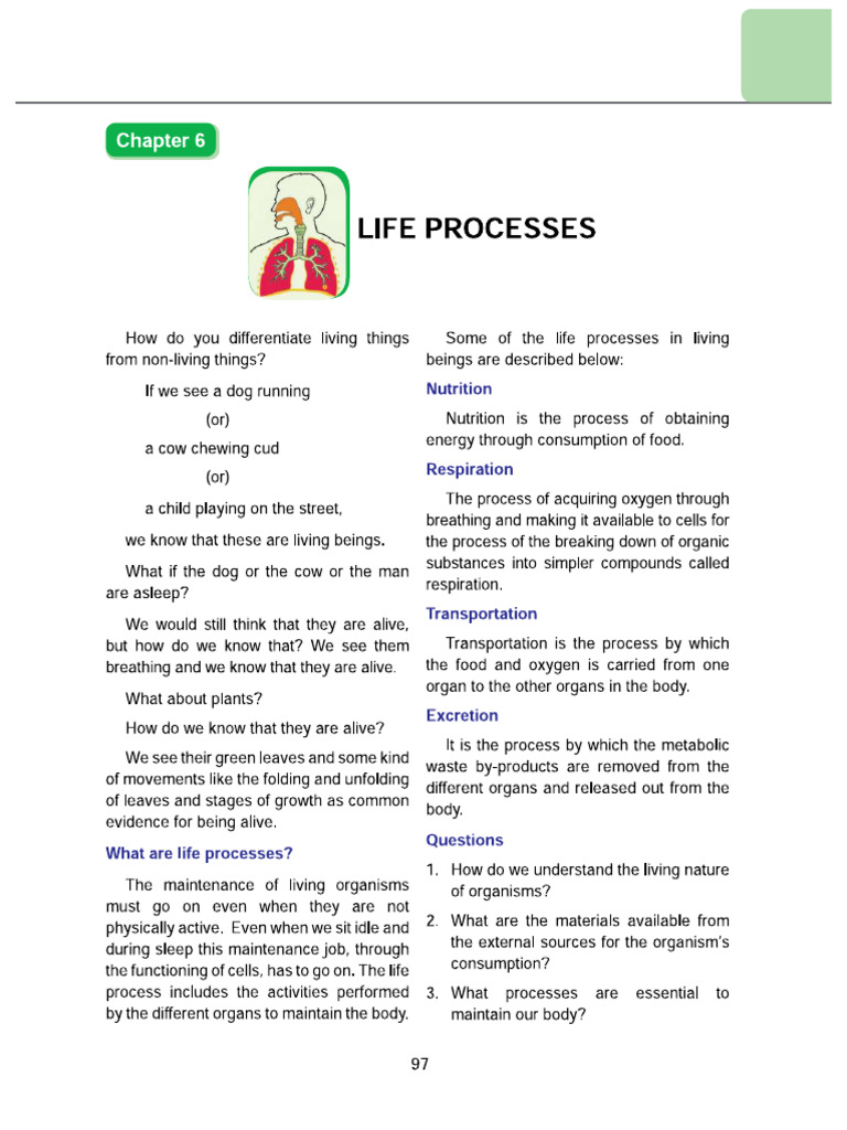 Life Process | PDF