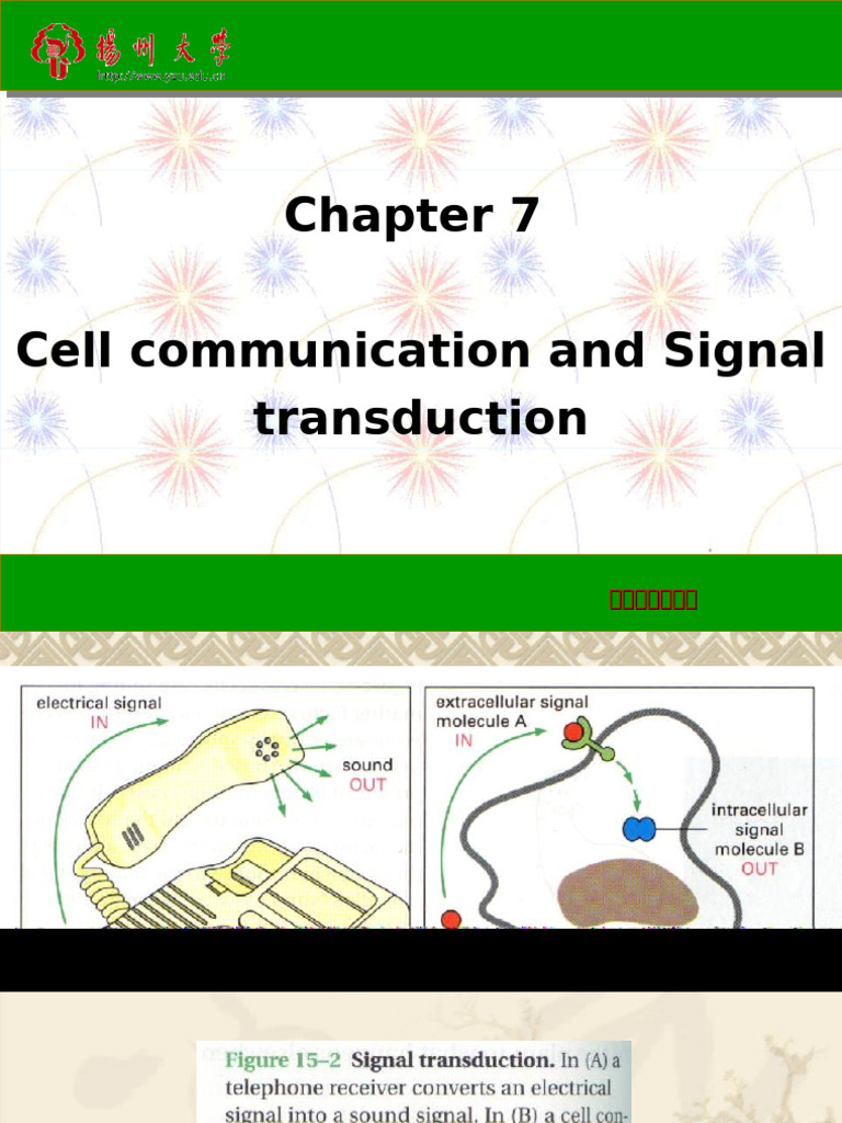 Cell Communication and Signal Transduction | PDF | Cell Signaling ...