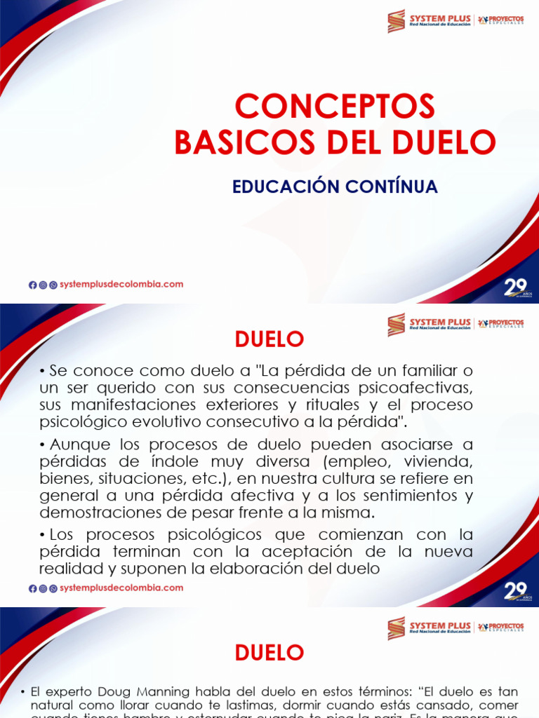 Conceptos Clave sobre el Duelo | PDF | Dolor | Las emociones