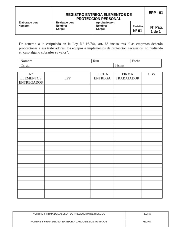 Formato Control de Epp | PDF