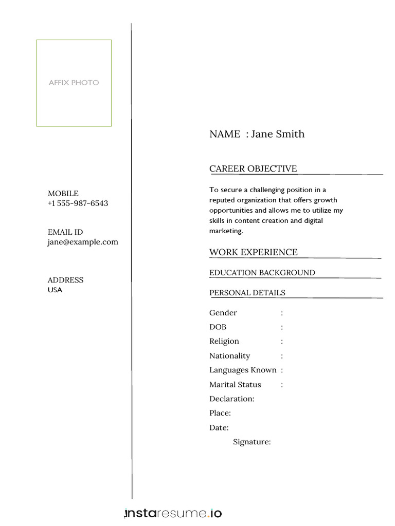 Professional Biodata Format | PDF