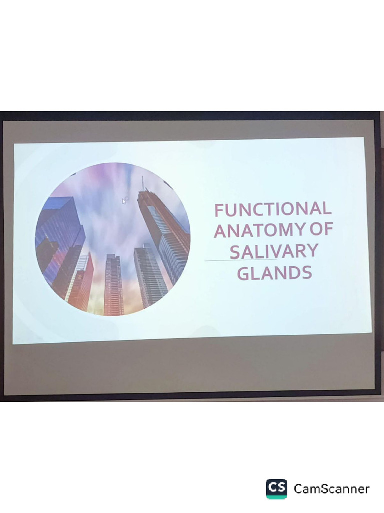 Aisha Mam LT. 12 | PDF