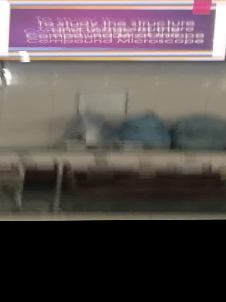 Aisha Mam Lab.04 | PDF