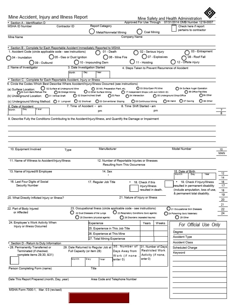 Mine Accident and Injury Reporting Form | PDF | Mining | Dermatitis