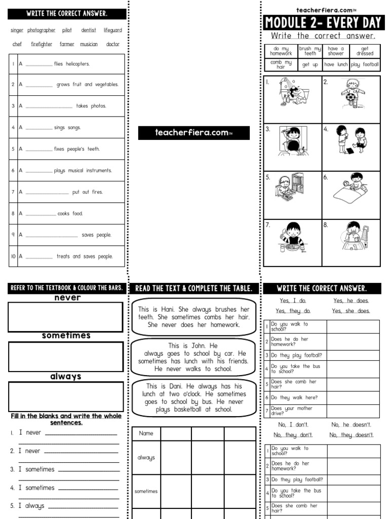 Year 3 Brochure Unit 2 - Every Day | PDF