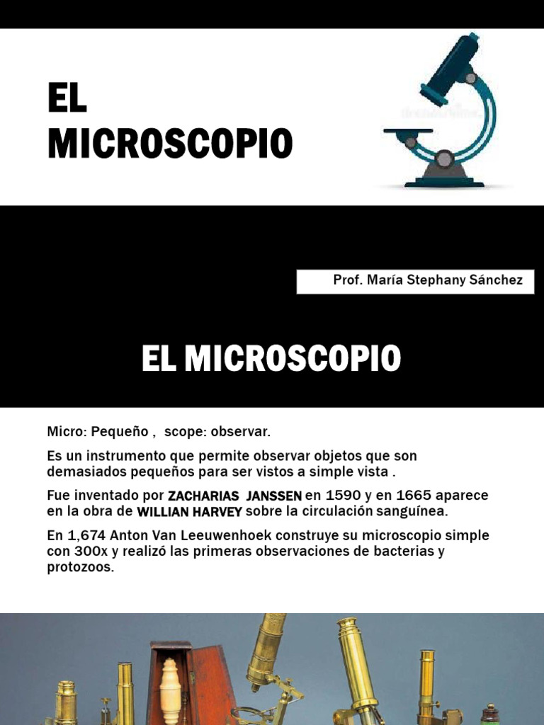 Tipos y partes del microscopio | PDF | Microscopio | Óptica