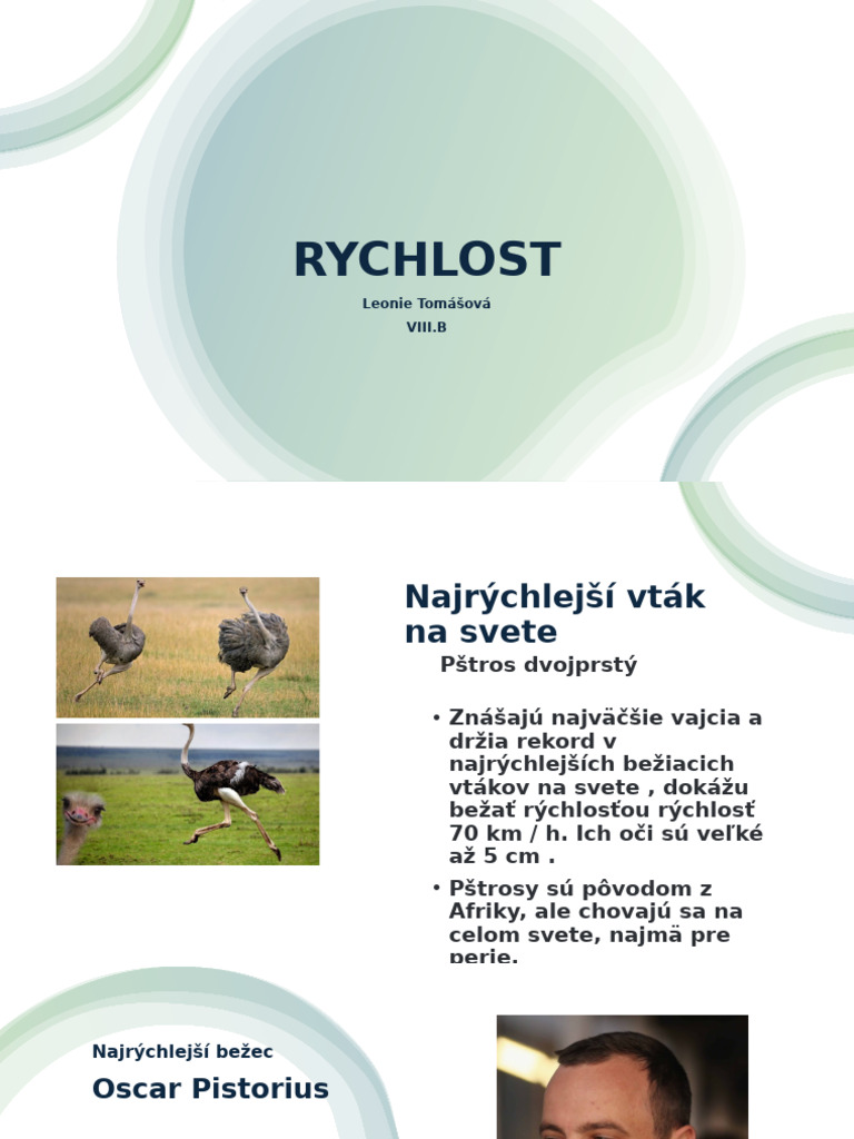 Rych Lost | PDF