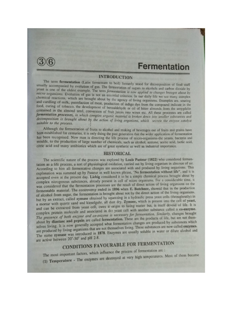 Fermentation Industry | PDF | Ethanol | Beer