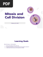 Mitosis Mover Activity Guide | PDF | Mitosis | Chromosome