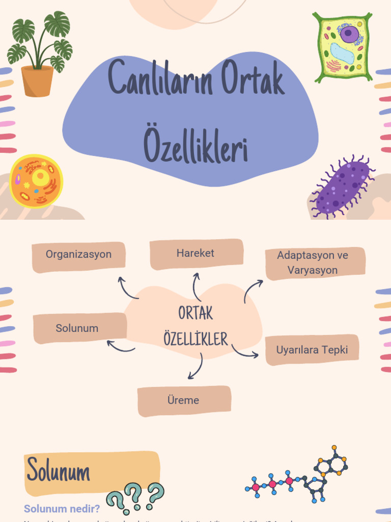 Canlıların Ortak Özellikleri | PDF
