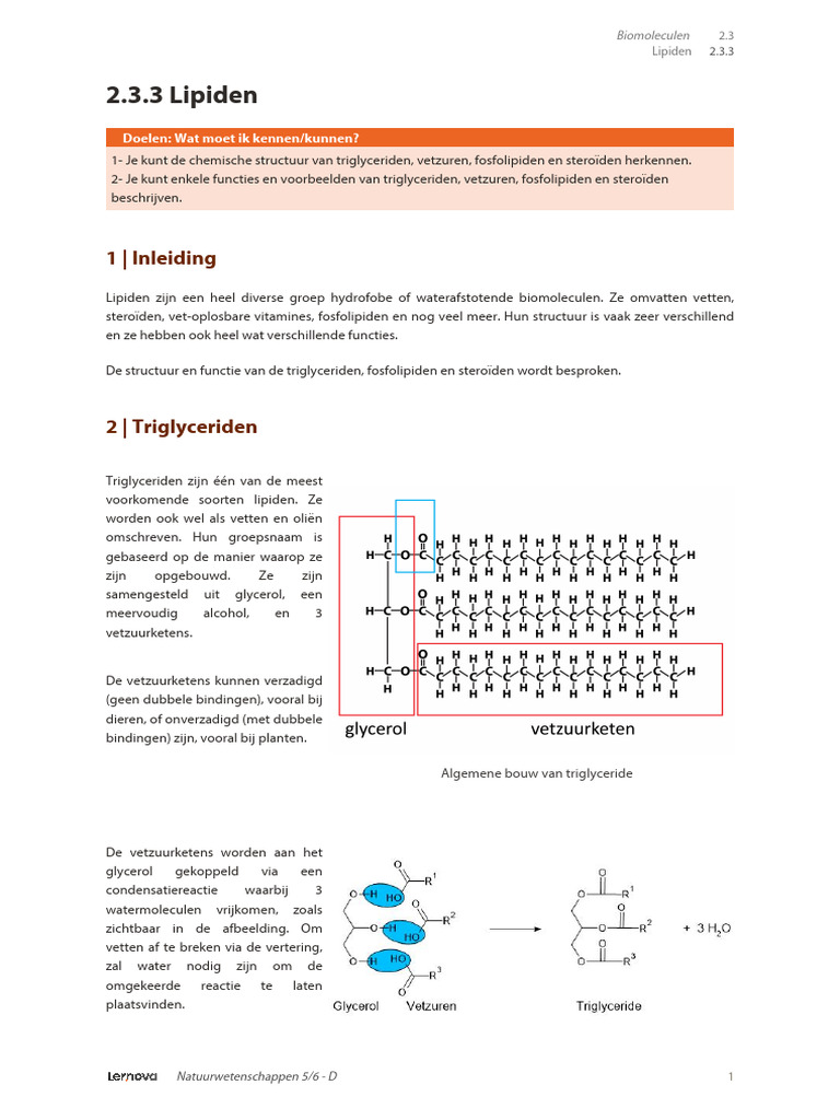 2 3 3+-+lipiden | PDF