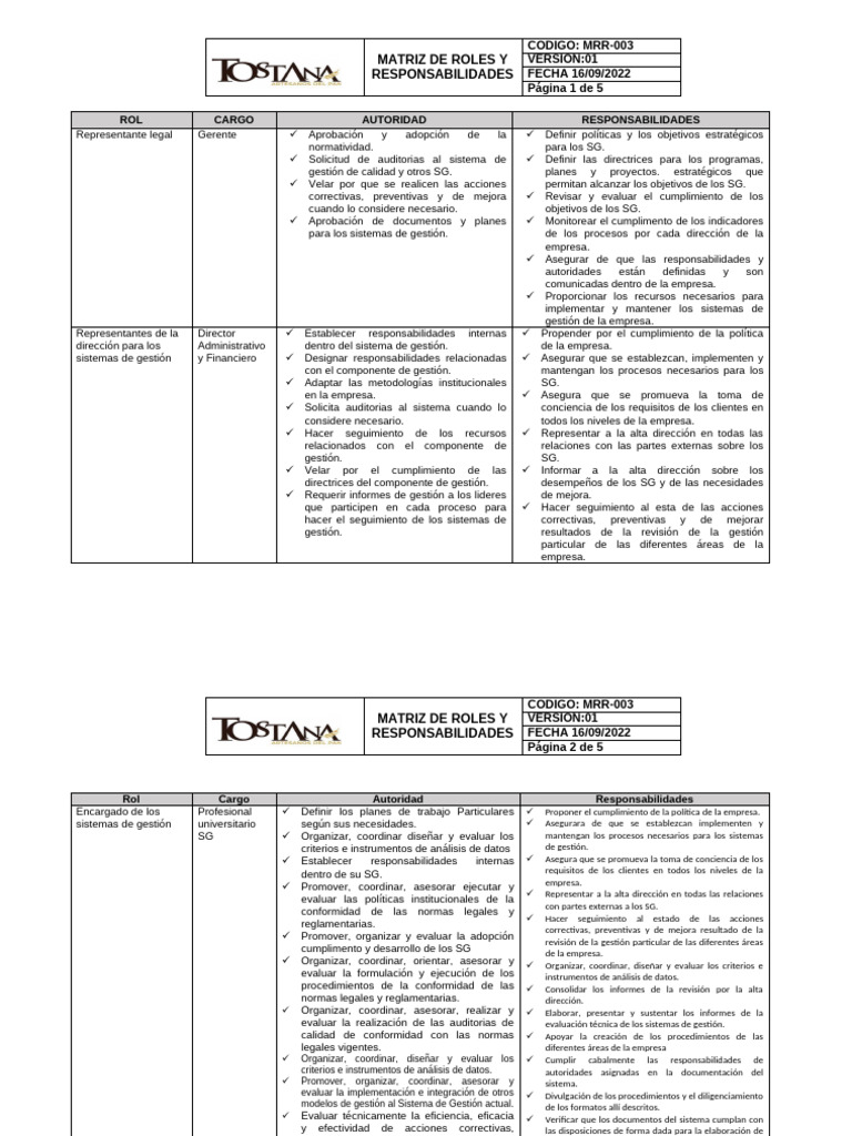Matriz de Roles y Responsabilidades SG | PDF | Business | Auditoría