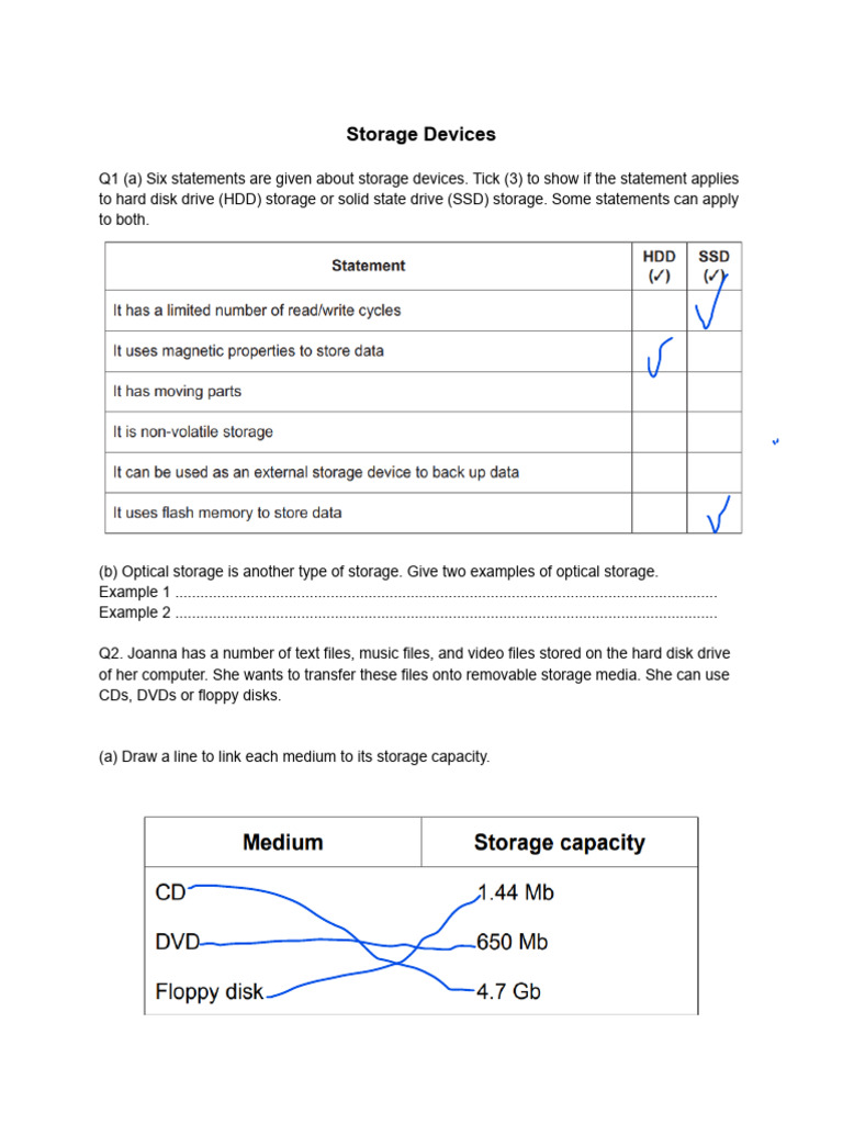 Storage Devices Worksheet | PDF