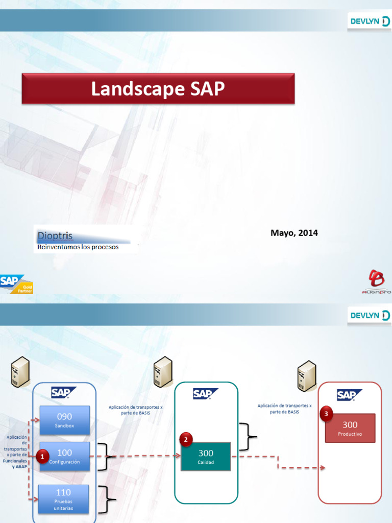 Estructura del Landscape SAP 2014 | PDF | Informática | Tecnologías de ...