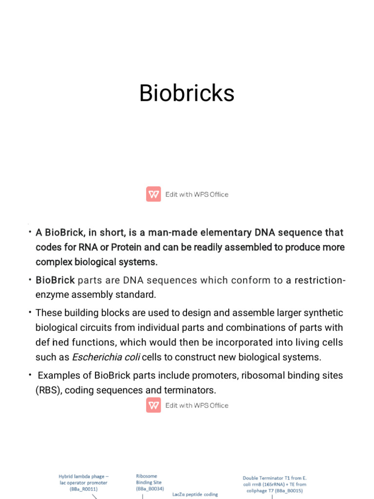 Unit 3 Biobricks | PDF | Gene | Dna