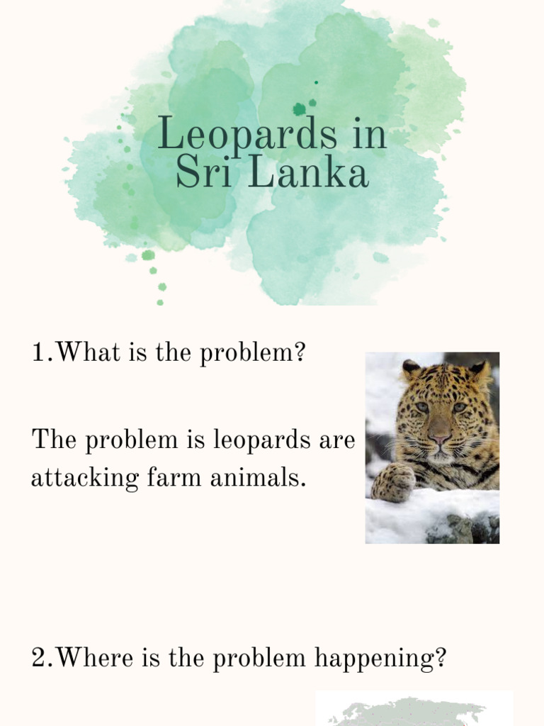Leopards in Sri Lanka | PDF