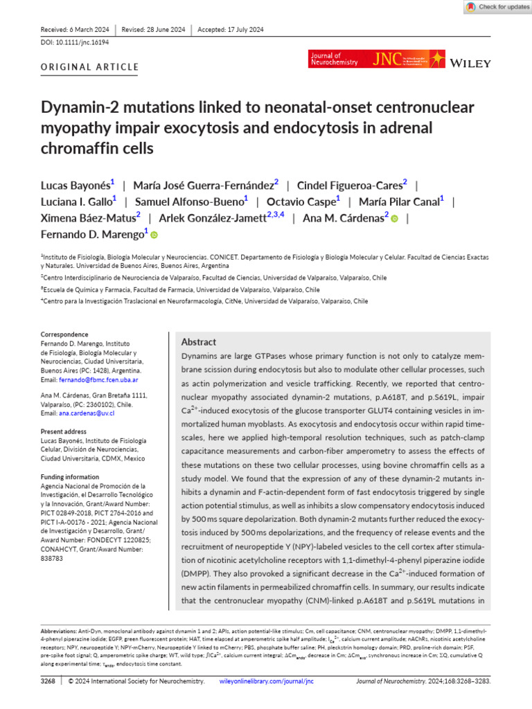 Journal of Neurochemistry - 2024 - Bayonés - Dynamin 2 Mutations Linked ...