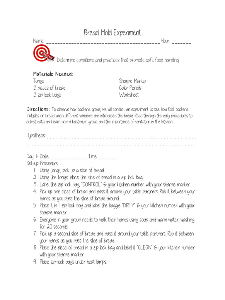 Bread Mold Experiment | PDF | Shelf Life