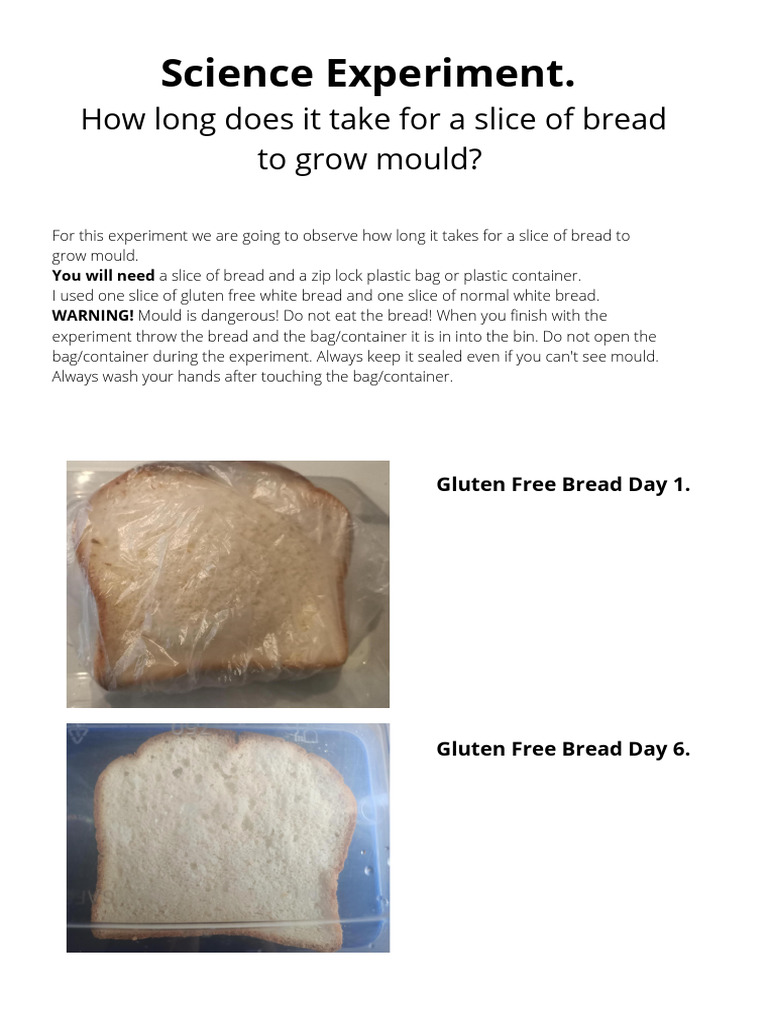 Science Experiment. Mouldy Bread | PDF