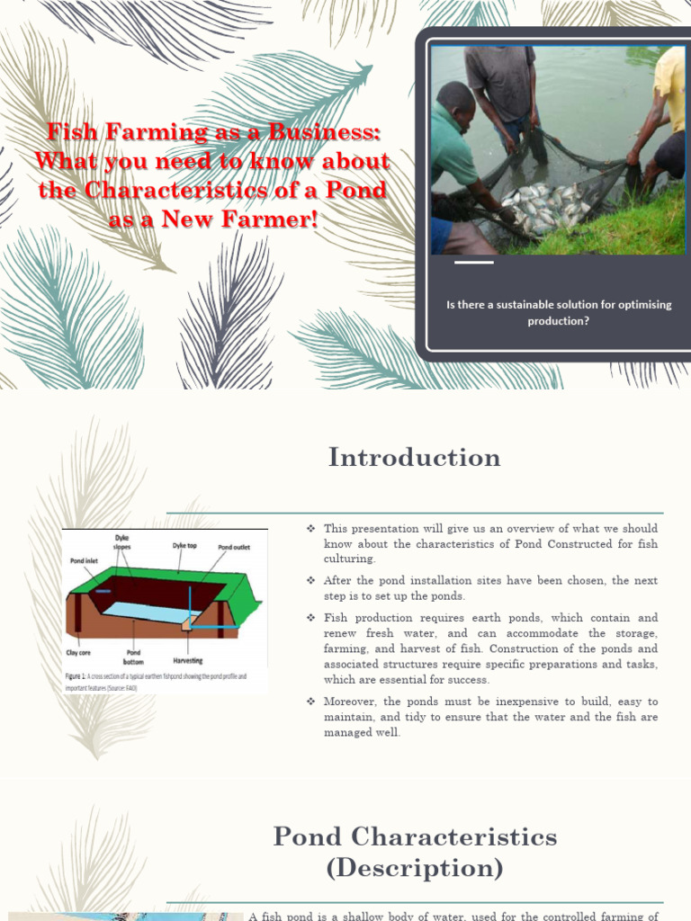 Fish Farming As A Business What You Need To Know About The ...