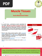 Muscular System Grade 4 Science | PDF | Wellness