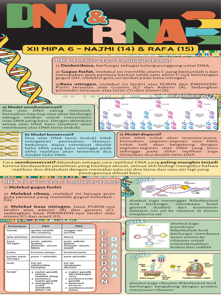 Biologi Dna Rna | PDF
