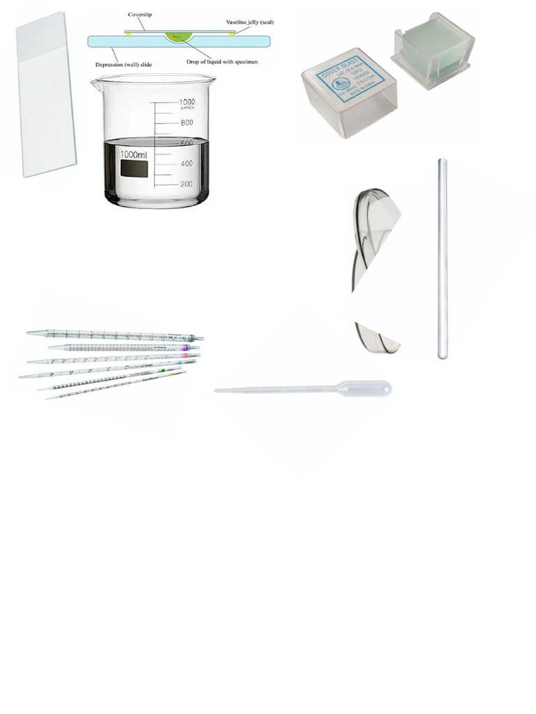 CBACTE1 - EXPERIMENT No2 - Laboratory Equipment | PDF