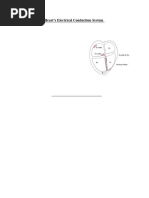 Wilson Central Terminal | PDF | Electrocardiography | Low Pass Filter