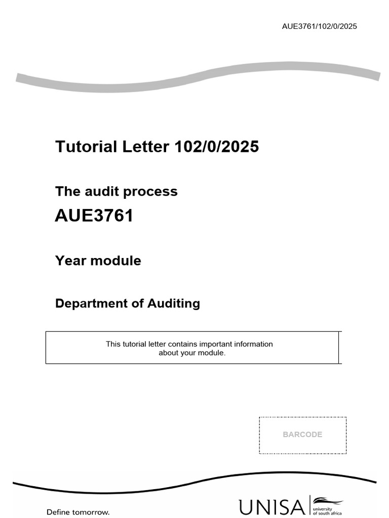 AUE3761 Audit Process Tutorial Overview | PDF | Audit