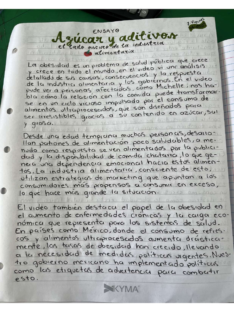 Documental Ensayo 2 cuartillas | PDF